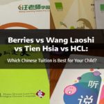 Wang Learning Centre (Wang Laoshi) Review: Does It Really Improve PSLE ...